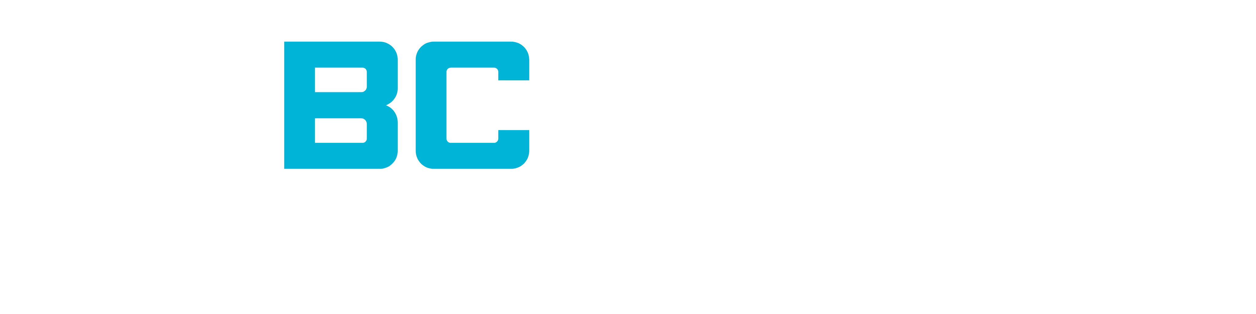 BC Bytes Inc - AI and Machine Learning Products Creators